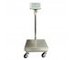 1g Lab Digital Scale Bench Scale supplier