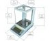 0.1mg magentic analytical scale supplier